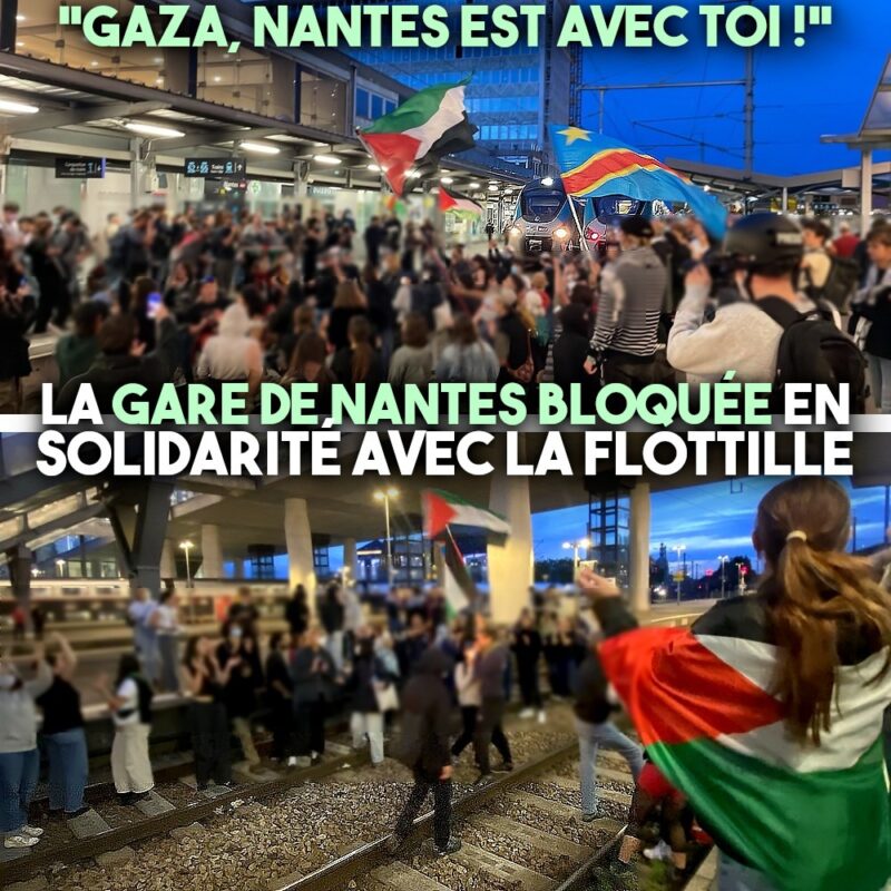 Articles – Contre Attaque